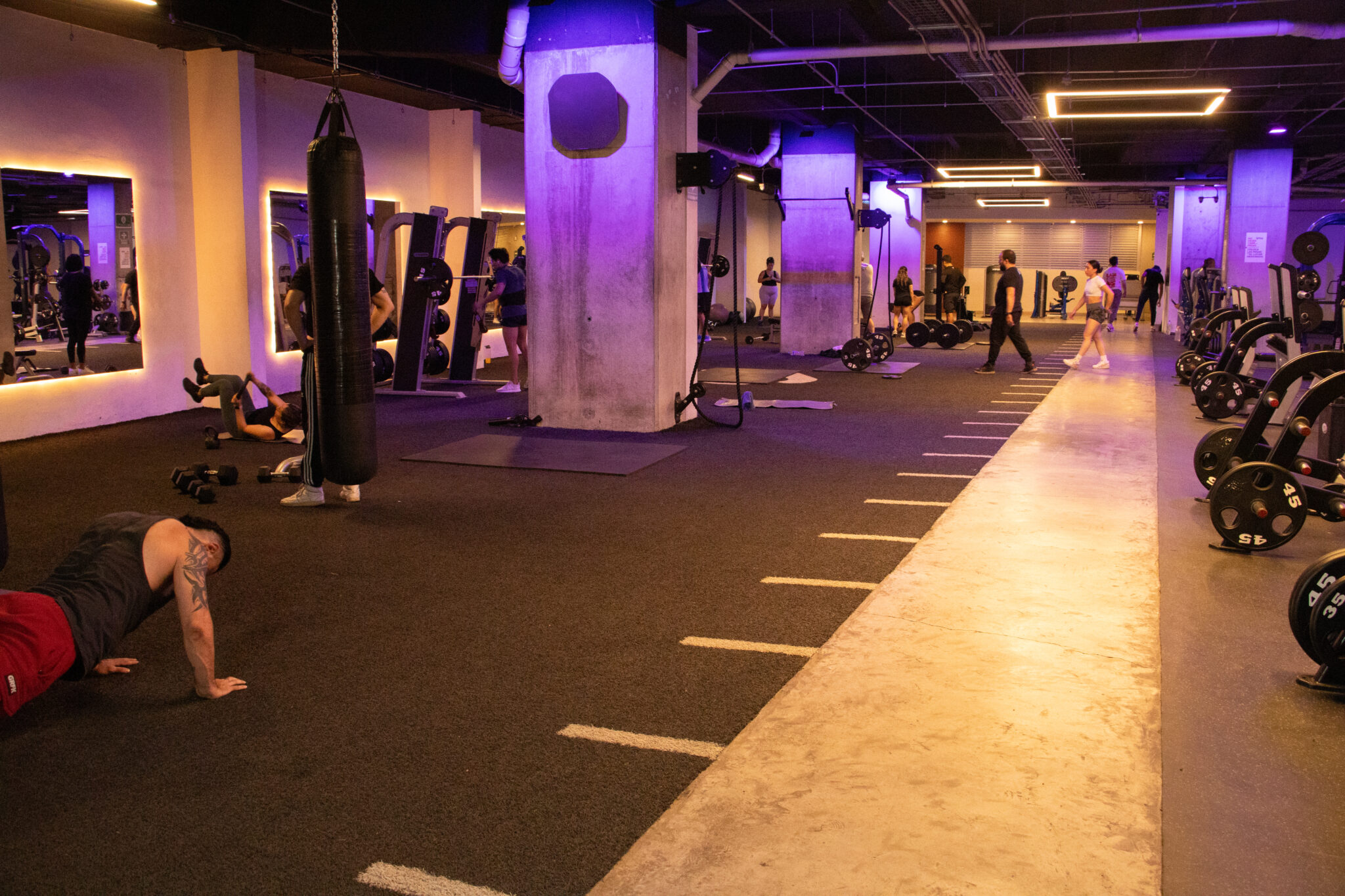 Fitsi – Revista Altezza