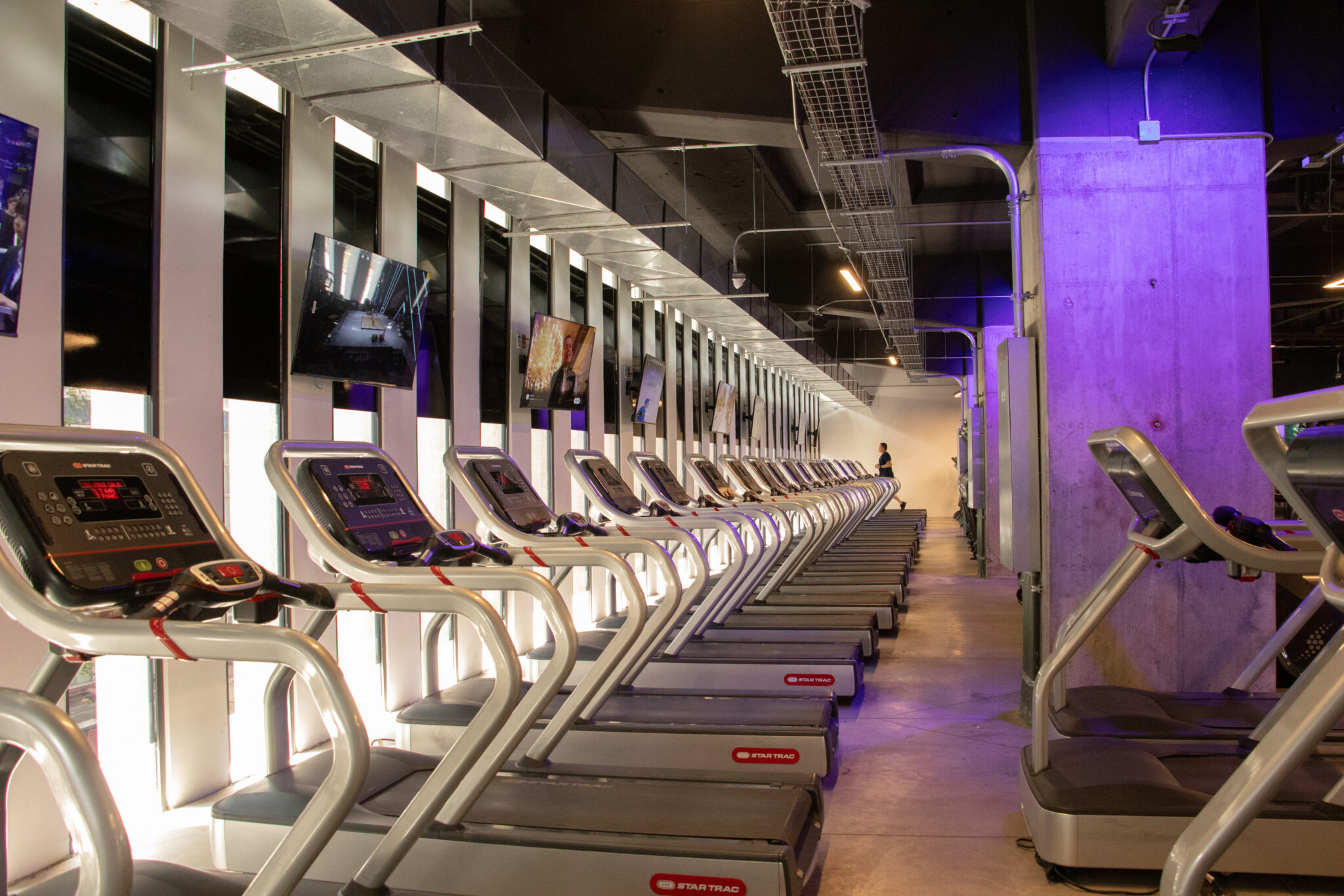 Fitsi – Revista Altezza